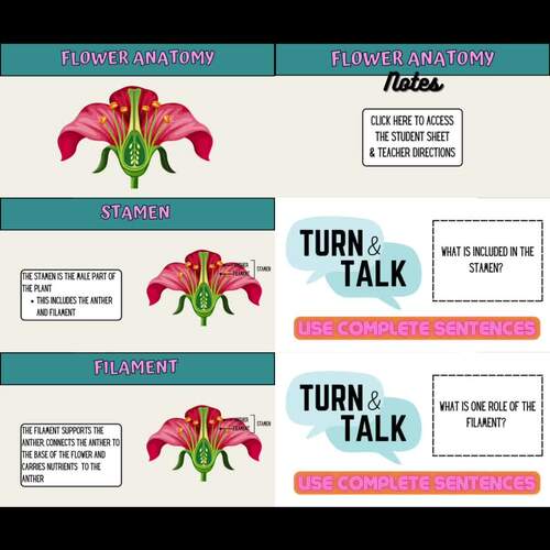 Flower Anatomy - Lesson Bundle by Middle School Science Enhancement