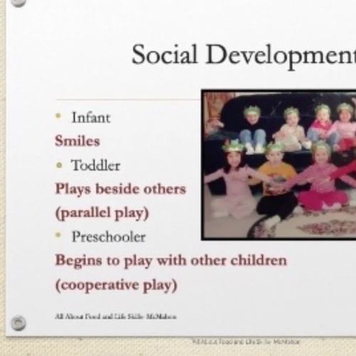 Child Development Activity No PREP | FACS FCS | TPT