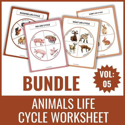 Animals Life Cycle Worksheet Bundle 5 - Pig, Goat, Rooster, Swan & Rabbit