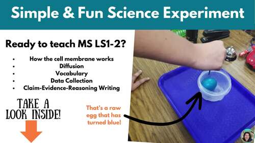 Diffusion & Cell Membrane Experiment with an Egg - A Science Activity ...