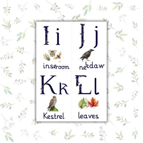 Nature theme Alphabet flash cards, Scottish woodland animals & wildlife