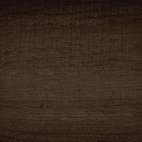 Animal Portraits in Six Mediums - Art Projects, Middle School or High ...