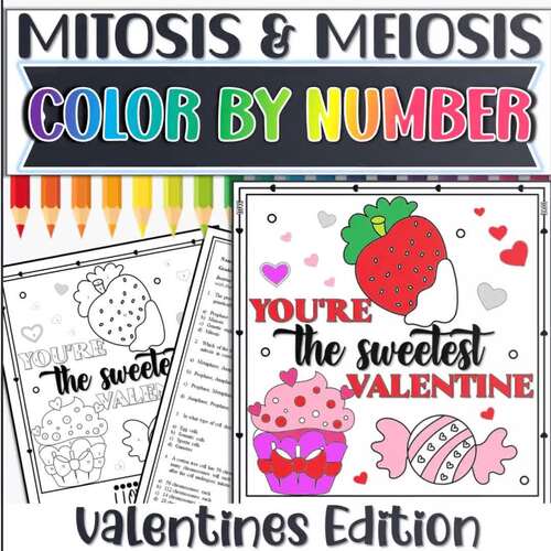 Mitosis and Meiosis Valentine's Day Color by Number| Valentines Science ...
