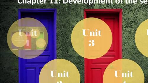 Grade 11 - Chapter 11: Development of the self in society (Term 3)