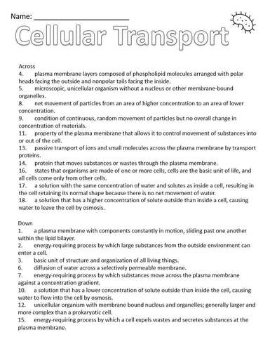 Cellular Transport Vocabulary Puzzle Biology by Secondary Science HQ