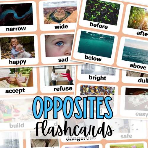 Opposites Real Photo Vocabulary Flashcards ESL Speech Life Skills