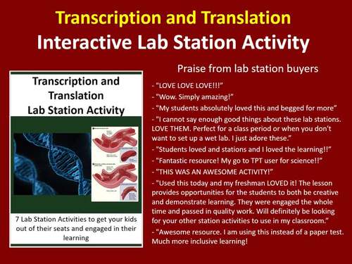 Transcription and Translation - Protein Synthesis - 7 Lab Station ...