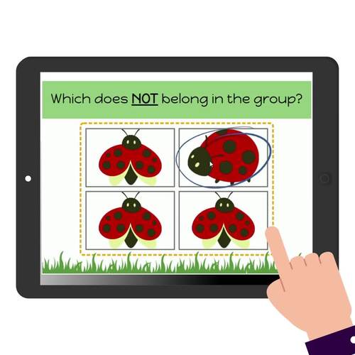 Visual Discrimination Which does not belong BOOM CARDS Distance Learning