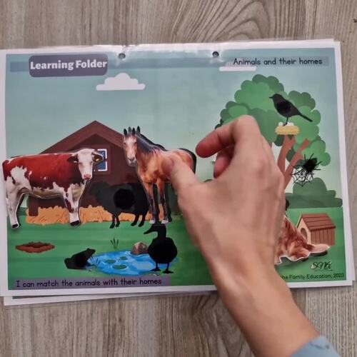 Animal and their homes/ Toddler Preschool Learning File Folder/ Busy ...