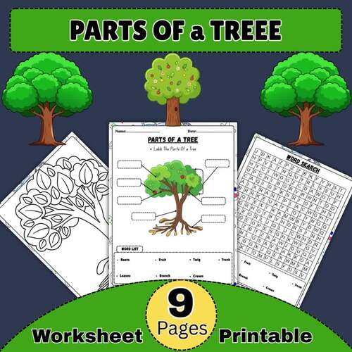 Parts of a Tree Worksheet | Plant Science for Kids | Labeling & Botany ...