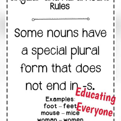 Singular And Plural Nouns Activity Pack by Educating Everyone 4 Life