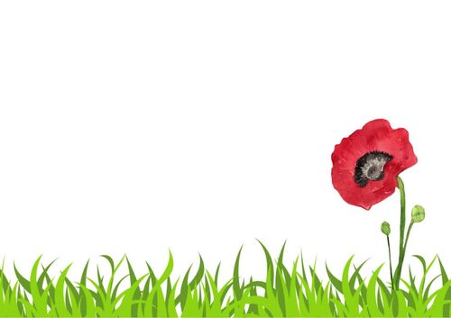 Remembrance Day Poppy-Themed Activity Bundle by Digiwizard Prints