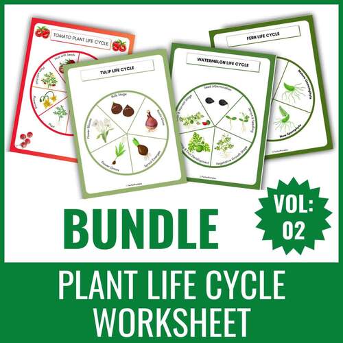 Plants Life Cycle Bundle Vol: 02 - Tomato, Watermelon, Fern, Tulip ...