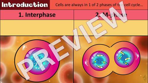 Mitosis Lesson Bundle (PowerPoint Slideshow, Guided Notes, Modeling ...