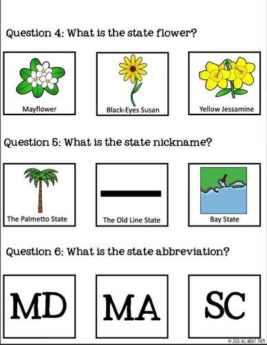 South Carolina, Quiz & Assessment, 50 States Special Education | TPT