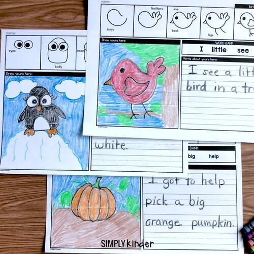 Endless Editable & Digital Directed Drawings, Seesaw Google & Print