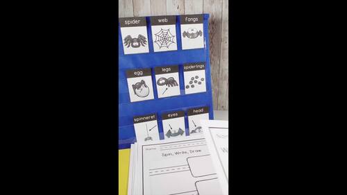 1st Grade Spider Writing Center by Teaching Firsties with Mrs Hull