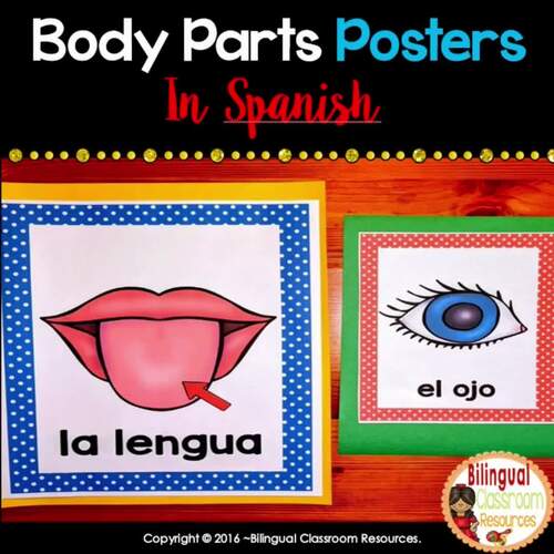 Las partes del cuerpo | Pósters | Body Parts Posters in Spanish