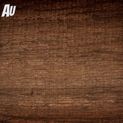 Auguste-Pierre Renoir, Biography Sheet, Critique, Middle School Art History