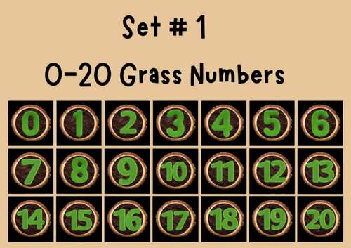 Nature Numbers: Kindergarten Math with Real Wood Slice Flashcards | 10 ...