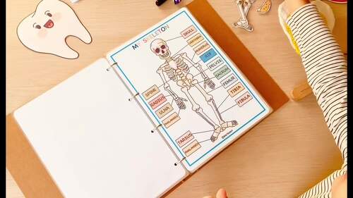 German Human Anatomy Busy Book Human Body Unit Study Activity Book Body ...