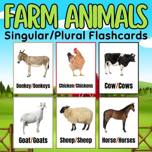 Farm Animals Vocabulary Flashcards, Real Photos, Singular & Plural ...