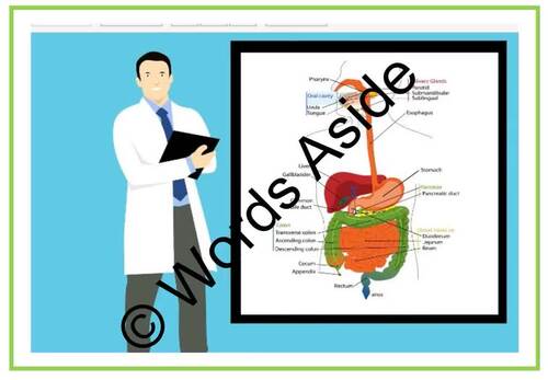 Spanish Flashcards Vocabulary DOCTORS by Words Aside | TPT