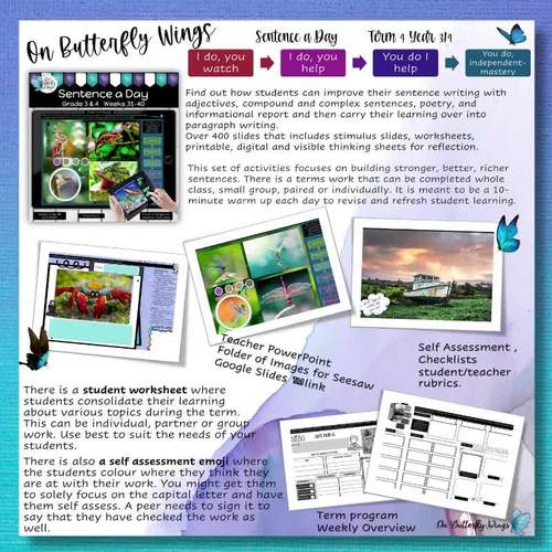 Sentence Writing Grades 3/4 Weeks 31 to 40 by On Butterfly Wings