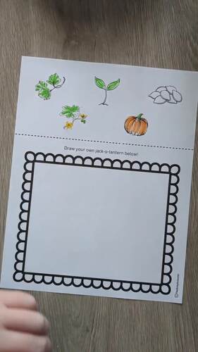 Life Cycle of a Jack-O'-Lantern Packet Activity - Halloween Themed Life ...