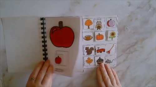 Fall Interactive Visual Books by Autism Little Learners | TPT