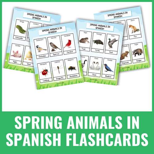 Spring Animals in Spanish Bilingual Vocabulary Flashcards with Real ...