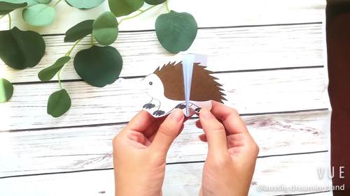 Australian Animals | Echidna life cycle facts | Echidna life cycle ...