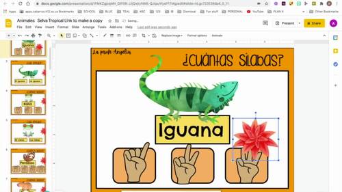 La Selva Tropical - Lectura divertida. by La Profe Angeliu | TpT