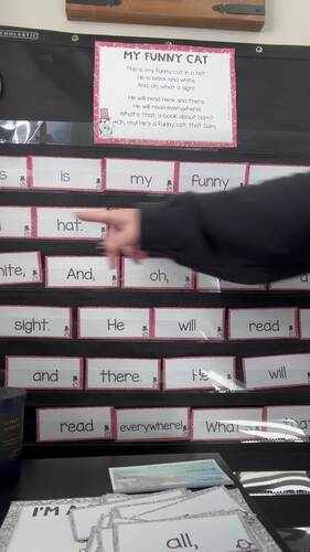 My Funny Cat Pocket Chart Poem | Build a Poem | Rhyming Literacy Center