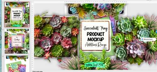 Succulents Garden Mock-up png images by Teach Elite | TPT
