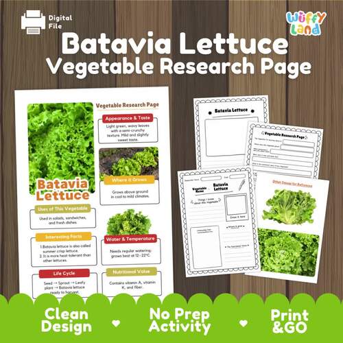 Batavia Lettuce Research Project | Summer Crisp Plant Science Activity