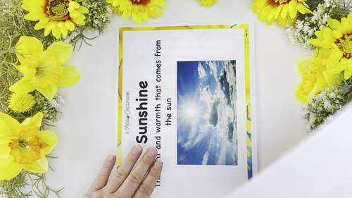 2nd Grade the sun space Diversified Nonfiction Reading Lesson Main ...