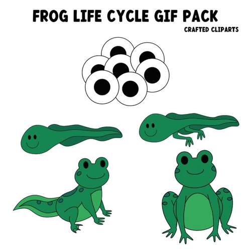 Simple Frog Life Cycle GIF Pack by Crafted Cliparts | TPT