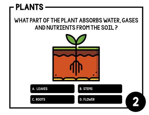 Plants Task Cards Activity | Print and Digital Science Task Cards