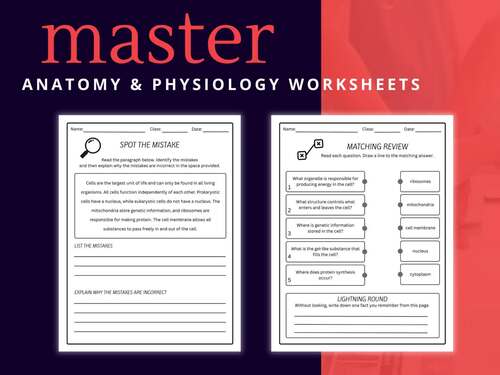 Cell Function Activity Packet Worksheets | Anatomy & Physiology ...