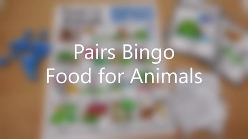 Pairs Bingo | Food for Animals by Lessons by Molly | TpT