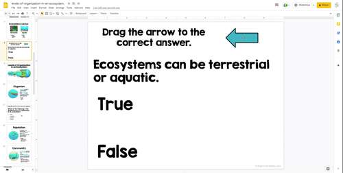 Levels of Organization in an Ecosystem Interactive Lesson | TPT