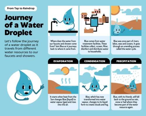 Journey of a Water Droplet by Amani Al-Banna | TPT