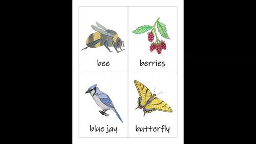 Food Webs Unit: an ecology unit study - with flashcards, activities ...