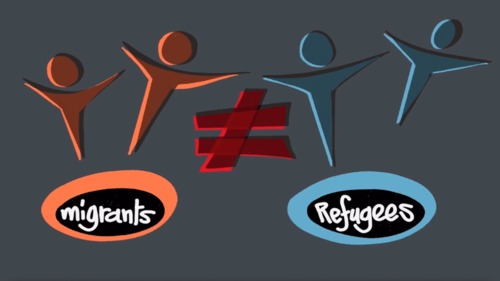 What's the Difference Between Migrants and Refugees ? | TpT