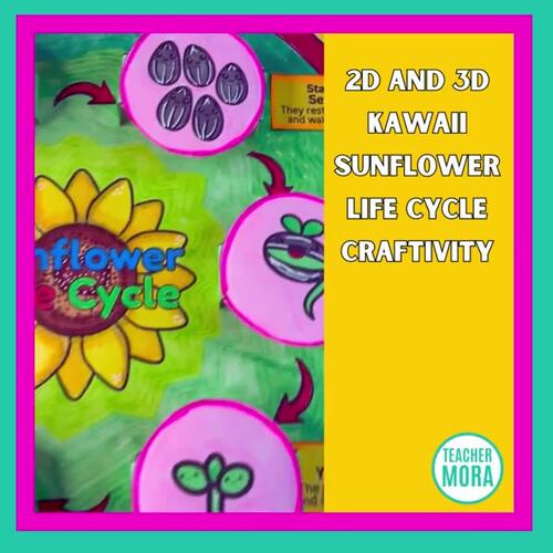 2D and 3D Kawaii Sunflower Life Cycle Craft | Cute Hands-On Plant Science