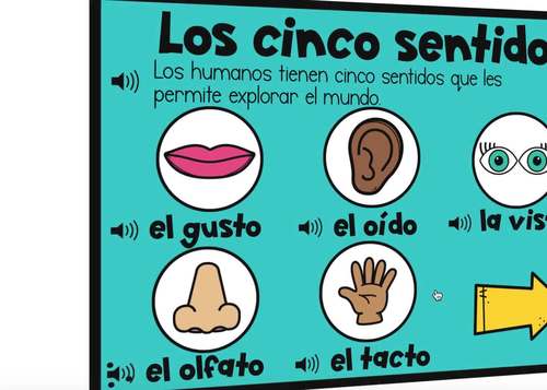 Boom Cards in Spanish- Los cinco sentidos by La Maestra Pati Bilingue