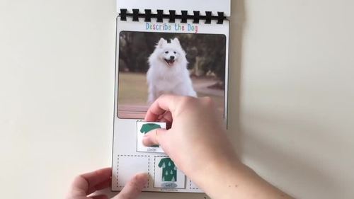 Describe the Dog with Adjective + Noun (Book + Boom Cards!) by Cat Says ...