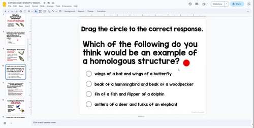 Comparative Anatomy Interactive Lesson by Kayla Renee' - Bright in the ...