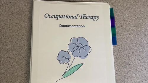 OT Documentation Binder by OT document depOT | TPT
